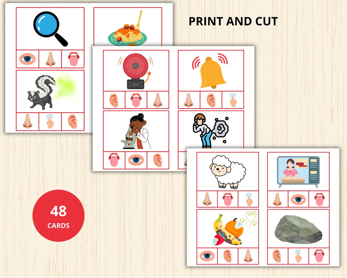 5 Senses Clip Cards, Five Senses Sorting Activity Game, Sort and Match ...
