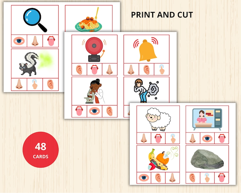 5 Senses Clip Cards, Five Senses Sorting Activity Game, Sort and Match ...