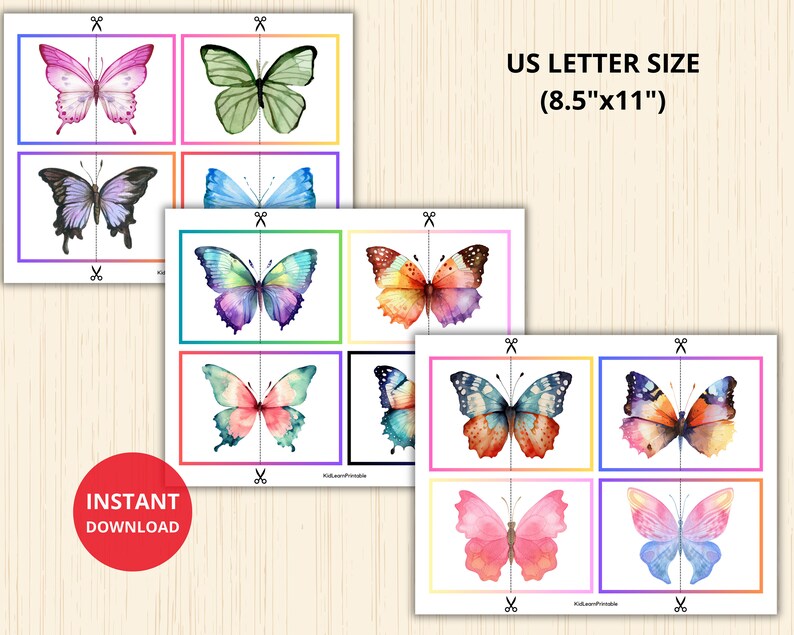 Butterfly Matching Activity, Butterfly Puzzles,symmetry Puzzle,toddler ...