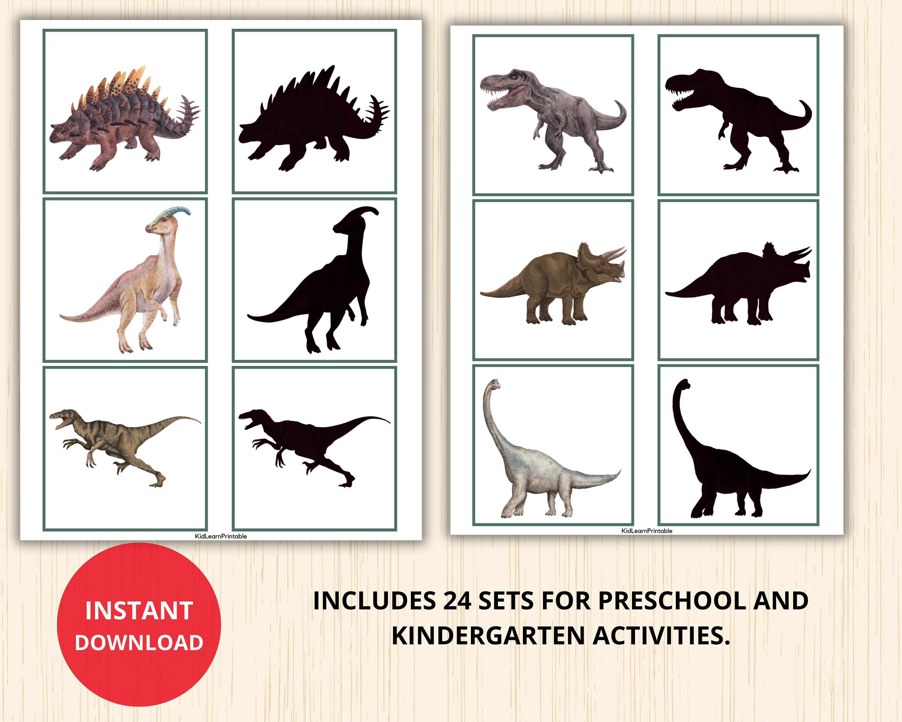 Dinosaur Shadow Matching Game,dinosaur Matching,dinosaur Montessori ...