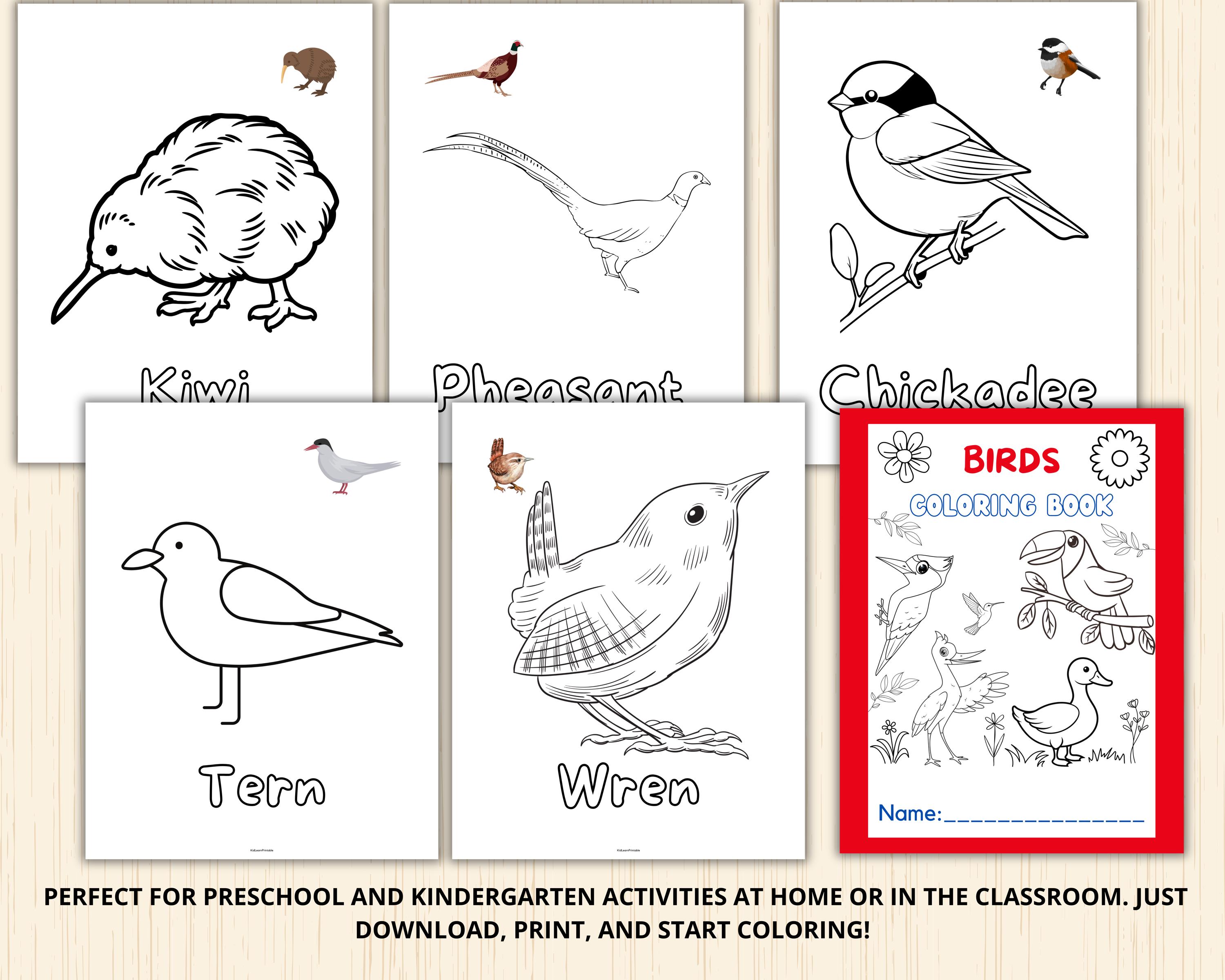 Bird Coloring Pages,bird Coloring Sheets,bird Preschool Activity,bird ...