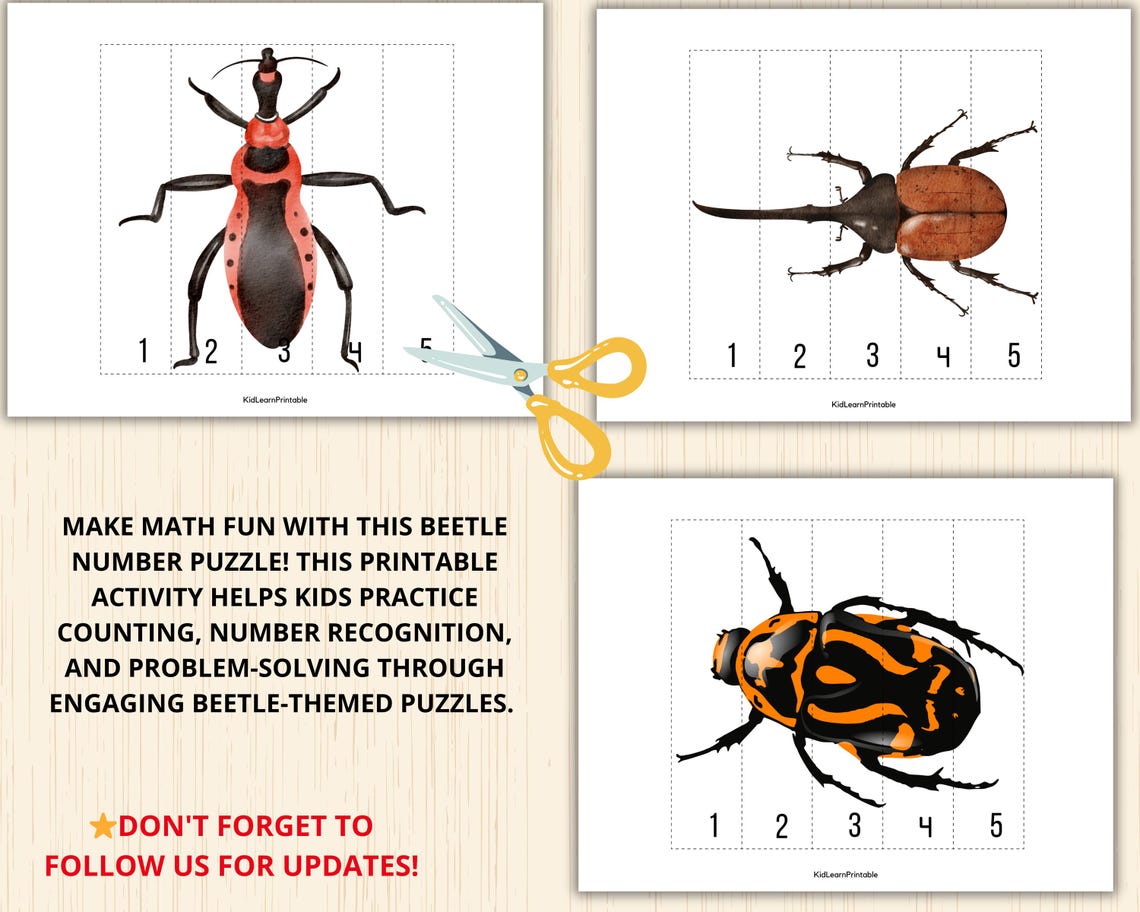 Beetle Number Puzzle,beetle Matching Activity,beetle Symmetry Puzzle ...