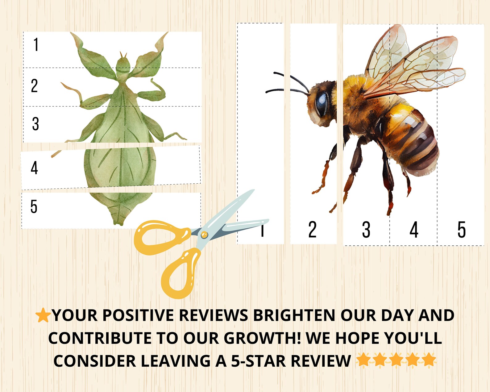 Insect Preschool,insect Number Puzzles,number Sequence,numbers 1-10 ...