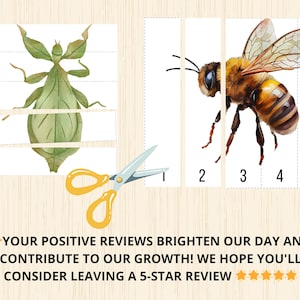 Insect Preschool,insect Number Puzzles,number Sequence,numbers 1-10 ...