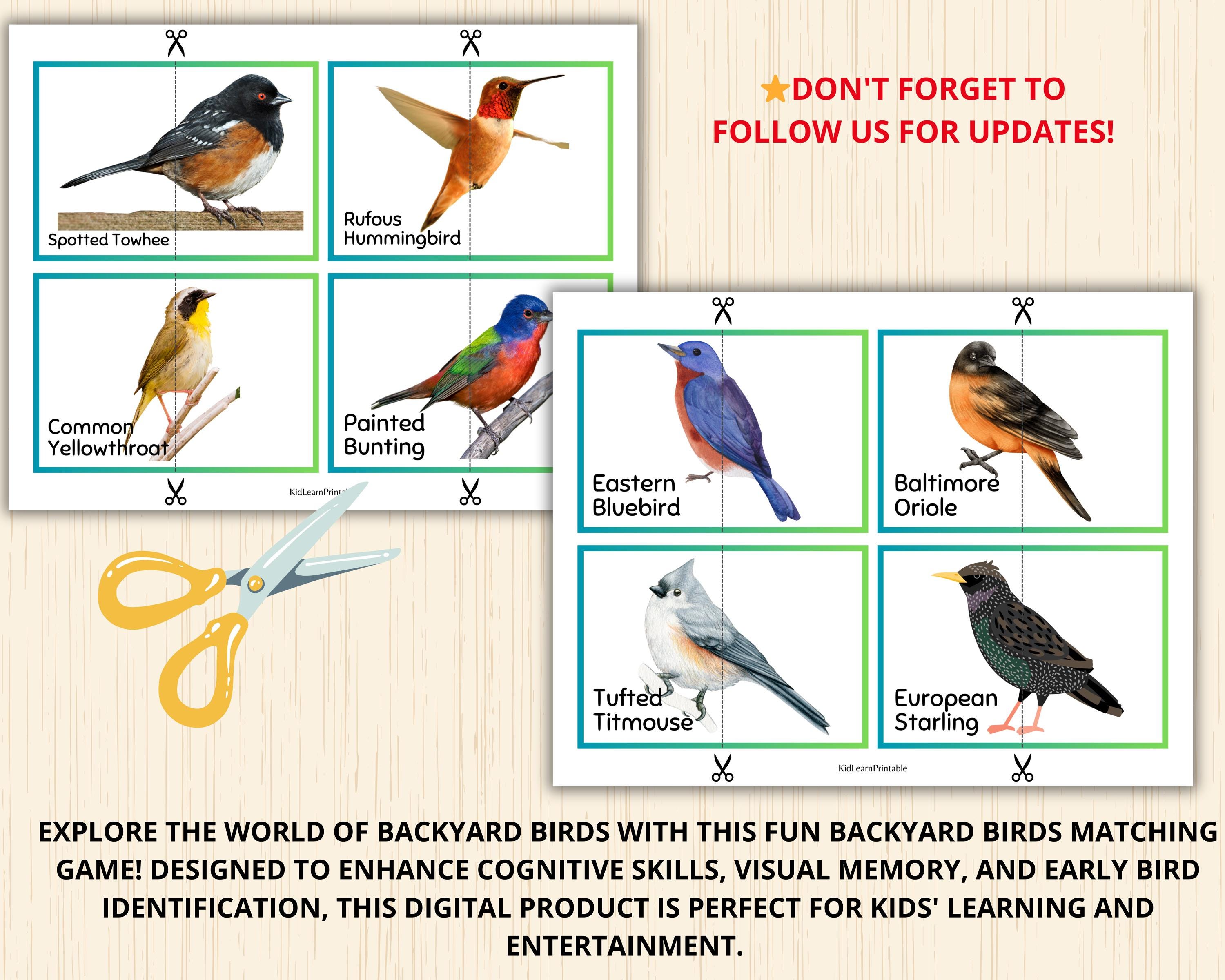 North American Backyard Birds,bird Matching Cards,birds Puzzle Pairs ...