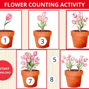 Flower Number Matching,flower Counting Game,spring Counting Numbers ...