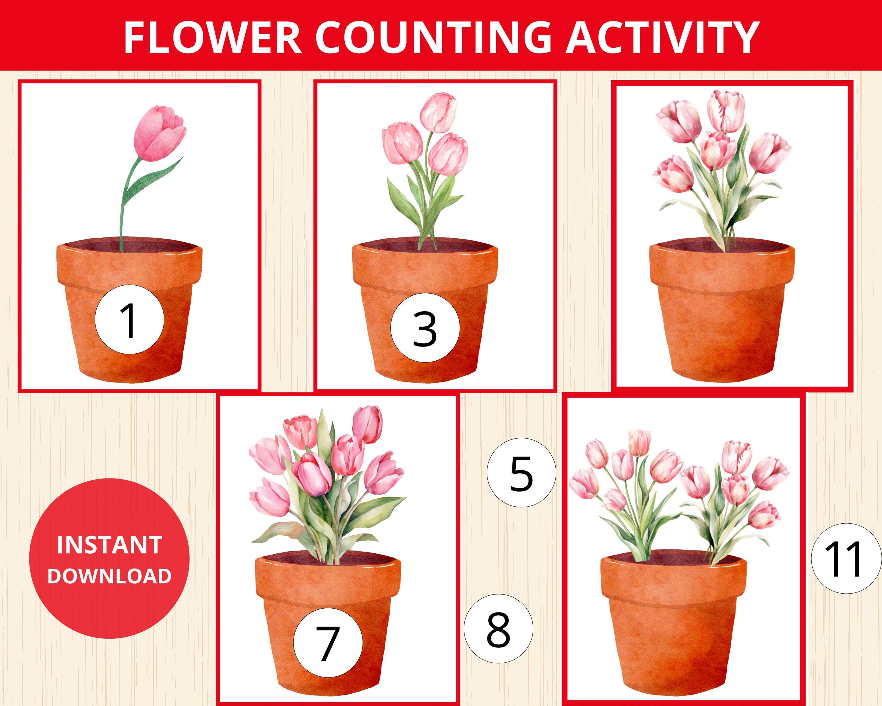Flower Number Matching,flower Counting Game,spring Counting Numbers ...