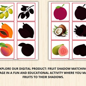 Fruits Shadow Matching,fruits Matching Game,fruit Montessori,fruits ...