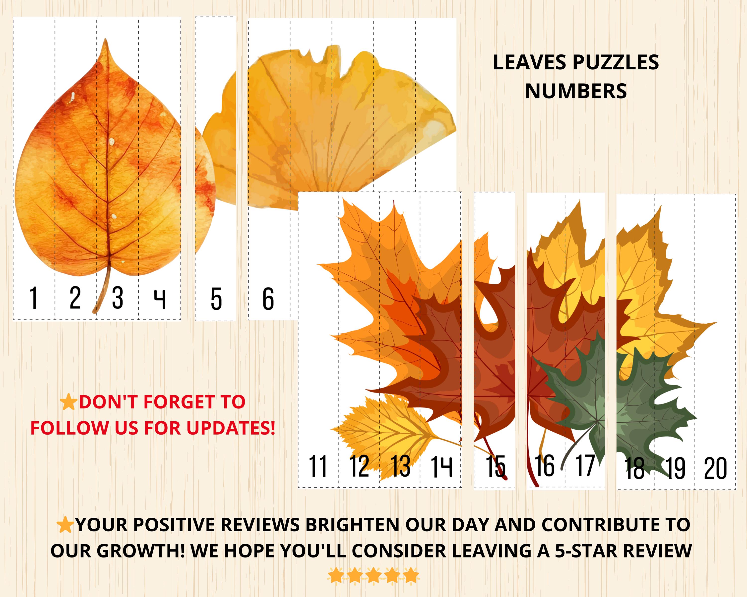 Fall Leaves Number Puzzles,autumn Preschool Math Activity,leaf Puzzle ...