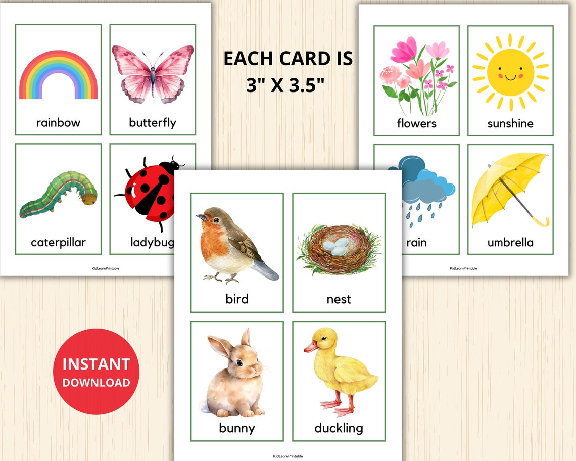 Spring Flashcards, Spring Vocabulary Cards,nature Cards,sensory Bins ...