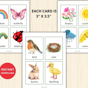Spring Flashcards, Spring Vocabulary Cards,nature Cards,sensory Bins ...