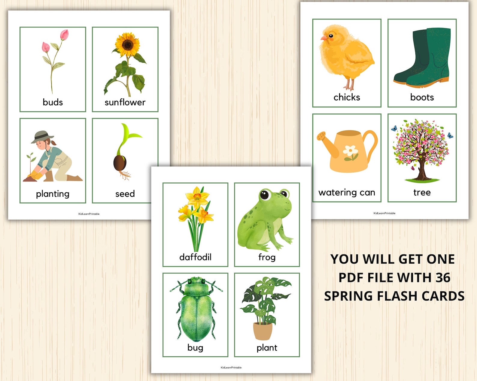 Spring Flashcards, Spring Vocabulary Cards,nature Cards,sensory Bins ...
