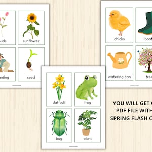 Spring Vocabulary Flashcards, Spring Word Cards,nature Cards,sensory ...