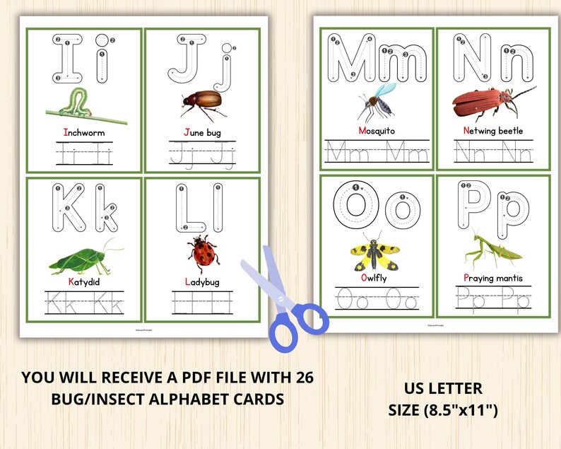 Bug Alphabet Tracing Cards,insect Letter Tracing,bug Alphabet Worksheet ...