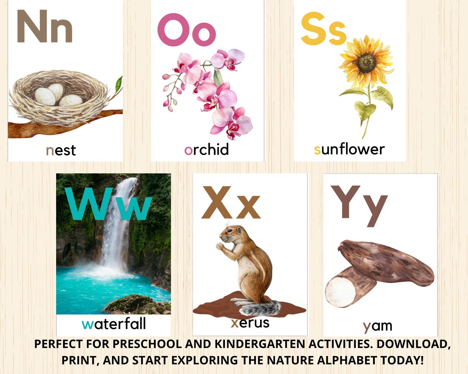 Nature Alphabet,nature Flashcard,fall Unit Study,alphabet Cards for ...