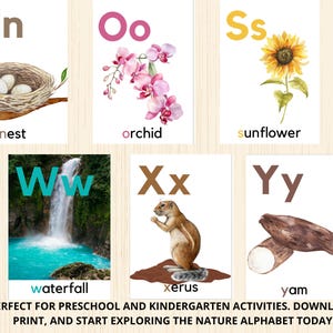 Nature Alphabet,nature Flashcard,fall Unit Study,alphabet Cards for ...