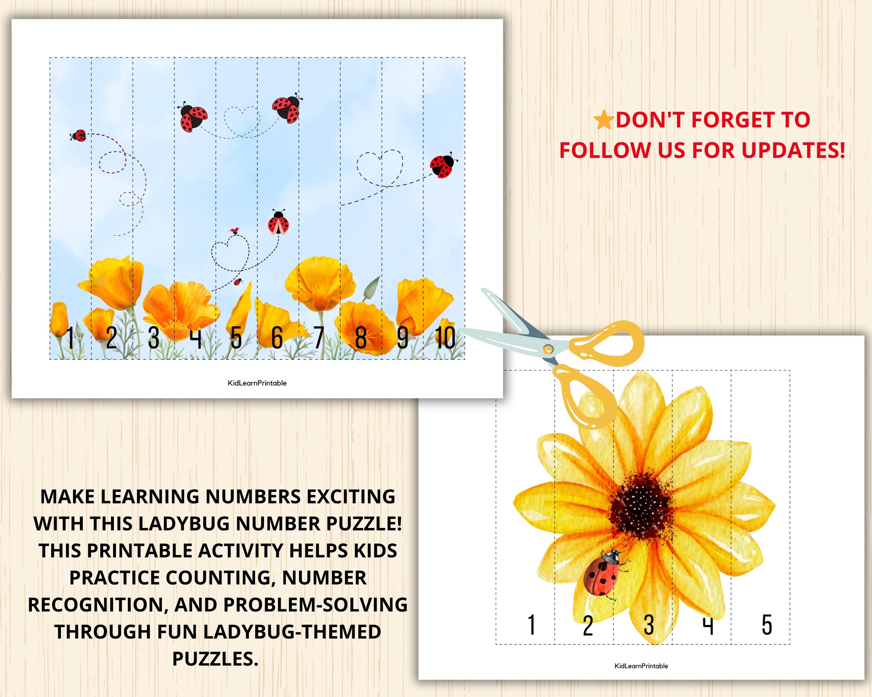 Ladybug Number Puzzle,ladybug Numbers Sequence,ladybug Unit Study ...