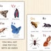 Insect Flashcards, Bug Alphabet,insect Alphabet Cards, Alphabet Flash ...