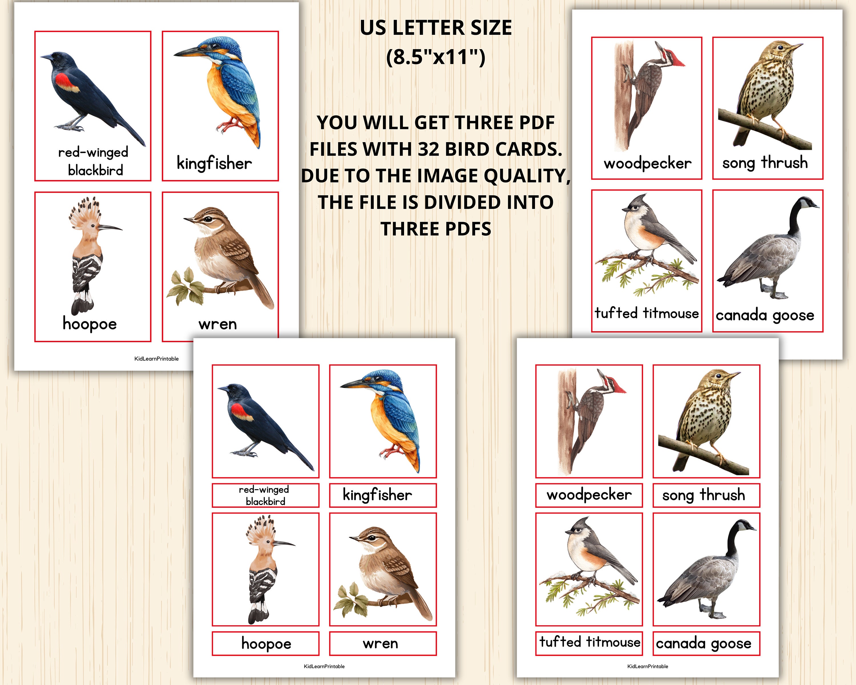 Birds Montessori Printable 3 Part Cards,us Bird Flashcards,spring ...