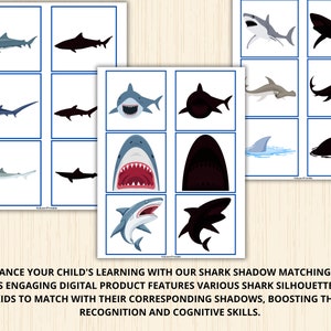 Shark Shadow Matching Game,animals Matching,animal Matching Cards,shark ...