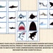 Shark Shadow Matching Game,animals Matching,animal Matching Cards,shark ...