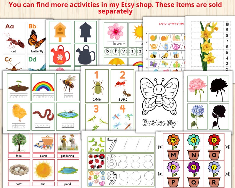 Bugs Number Flashcard,minibeast Number Cards,insect Preschool,nature ...