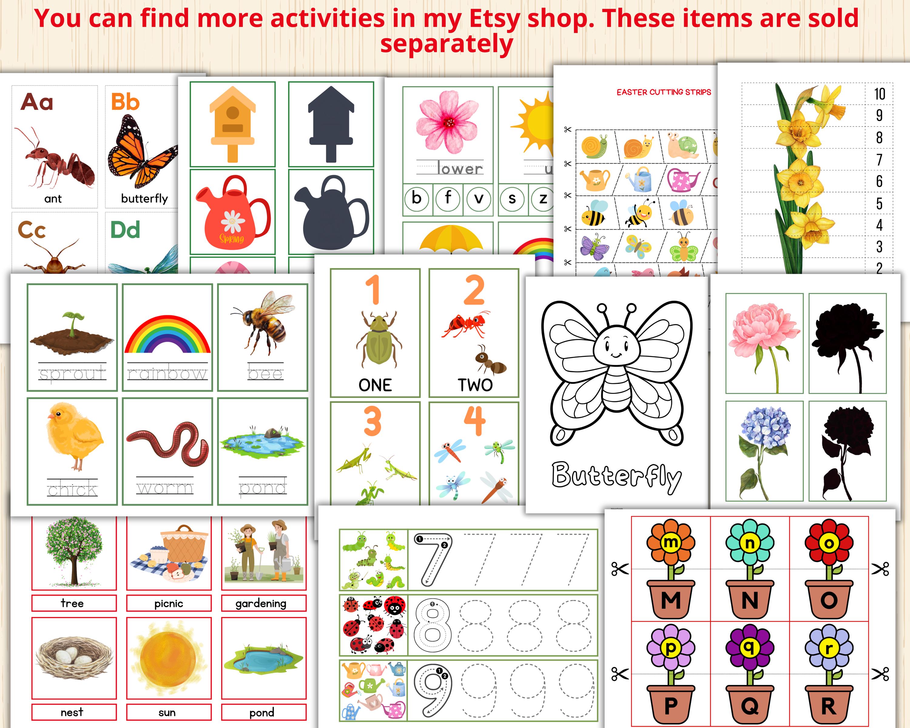 Bugs Number Flashcard,minibeast Number Cards,insect Preschool,nature ...