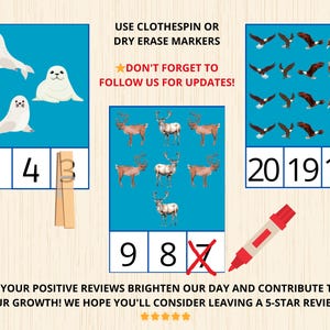 Arctic Animals Count and Clip Cards,polar Animals Cards,winter ...
