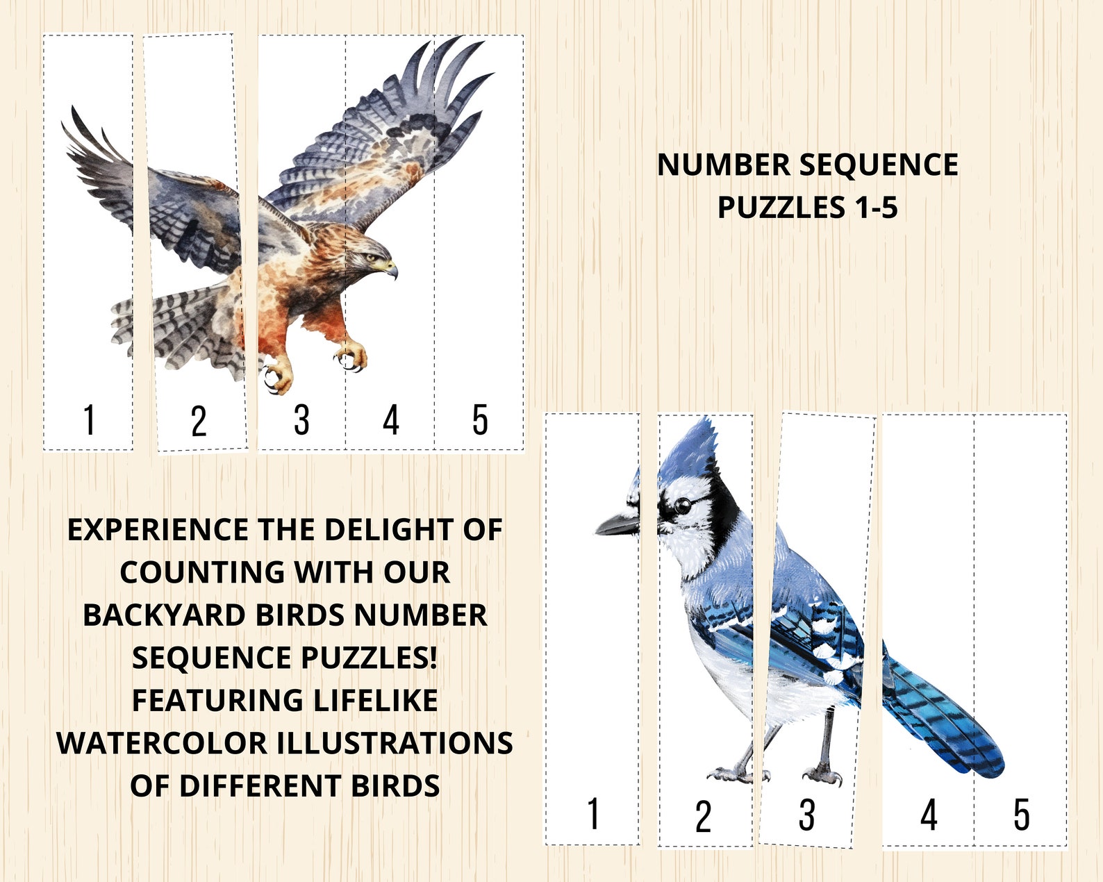 Birds Puzzle, Birds Number Sequence Puzzle,montessori Spring Math ...