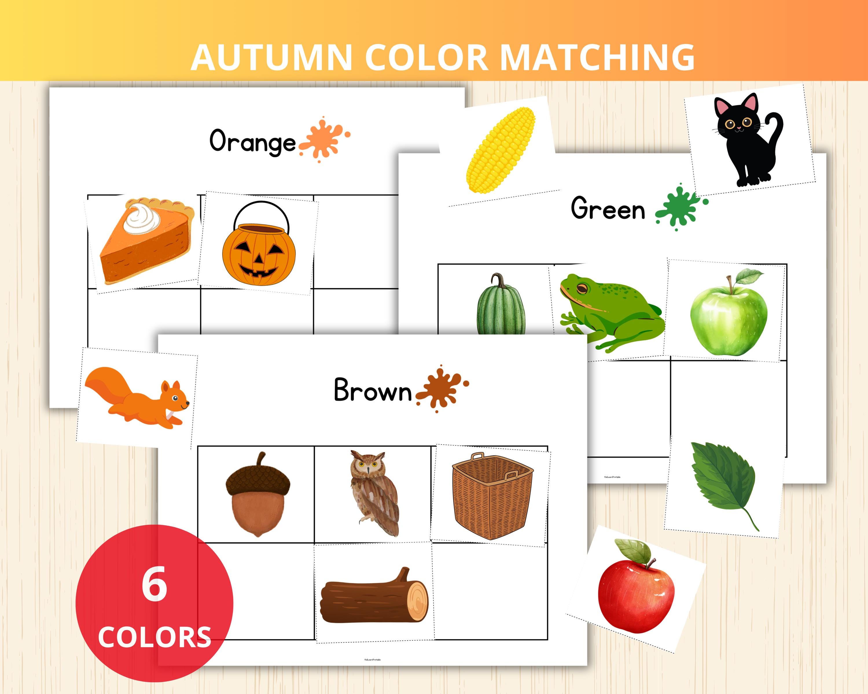 Autumn Colour Matching,fall Color Sorting,autumn Colour Match,color ...