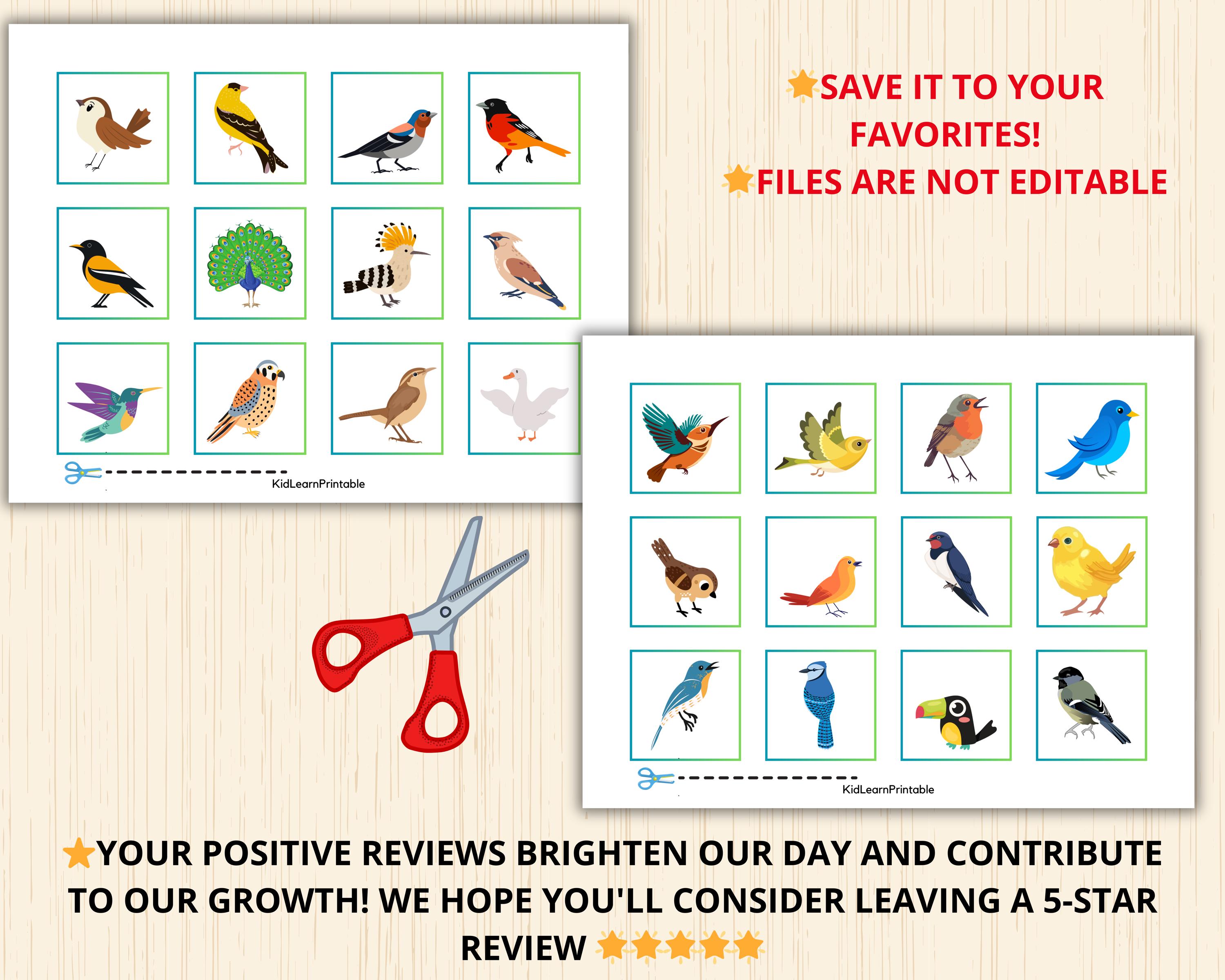 Bird Patterns,backyard Birds Activity,birds What Comes Next,pattern ...
