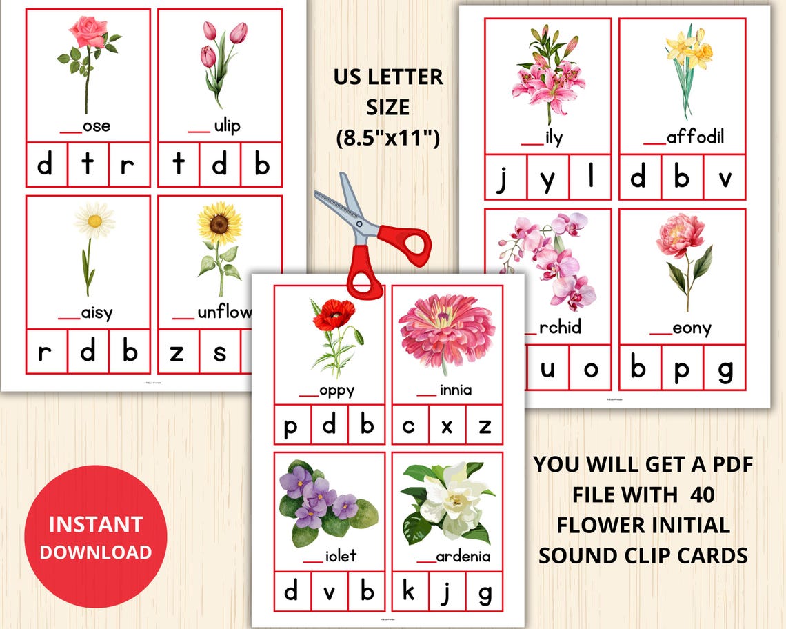 Flowers Beginning Sound,nature Letter Sound,flower Vocabulary,flower ...