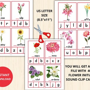 Flowers Beginning Sound,nature Letter Sound,flower Vocabulary,flower ...