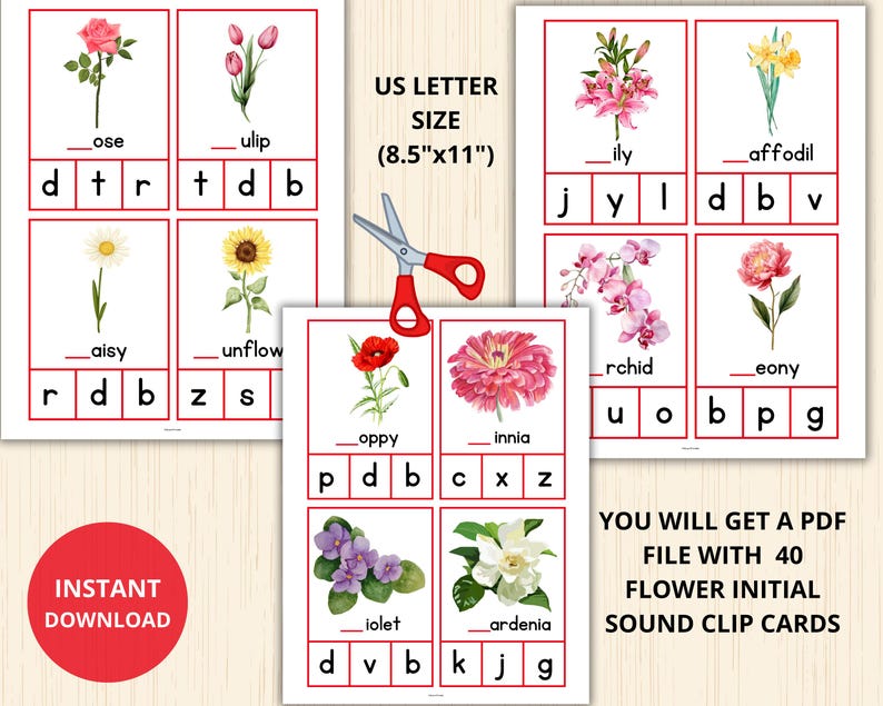 Flowers Beginning Sound,nature Letter Sound,flower Vocabulary,flower ...