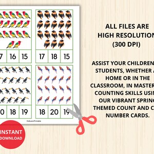 Birds Count and Clip Cards,numbers 1-20, Birds Flashcards,bird Activity ...