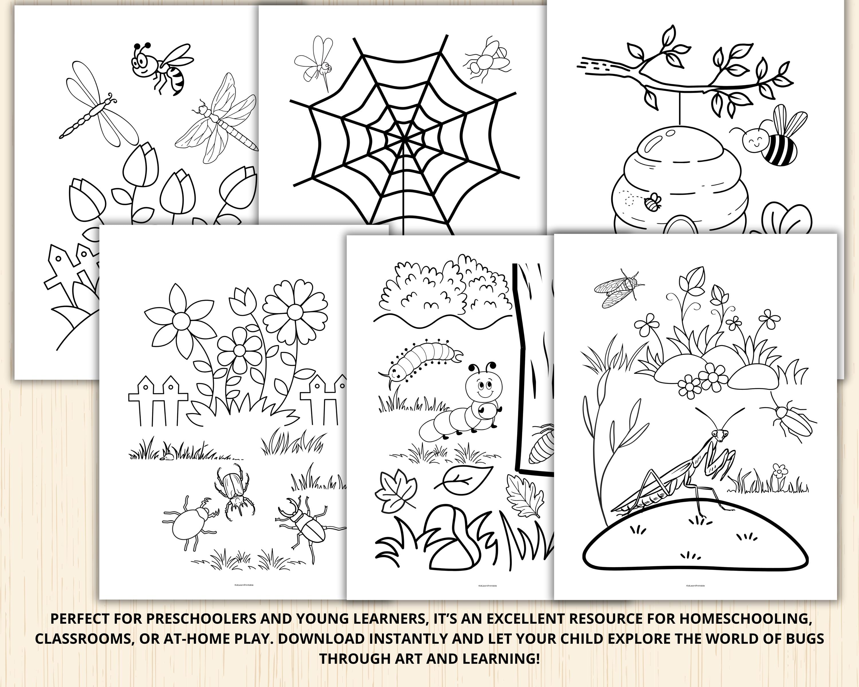 Insect Coloring Pages,bugs Coloring Sheet,insect Coloring Book,spring ...