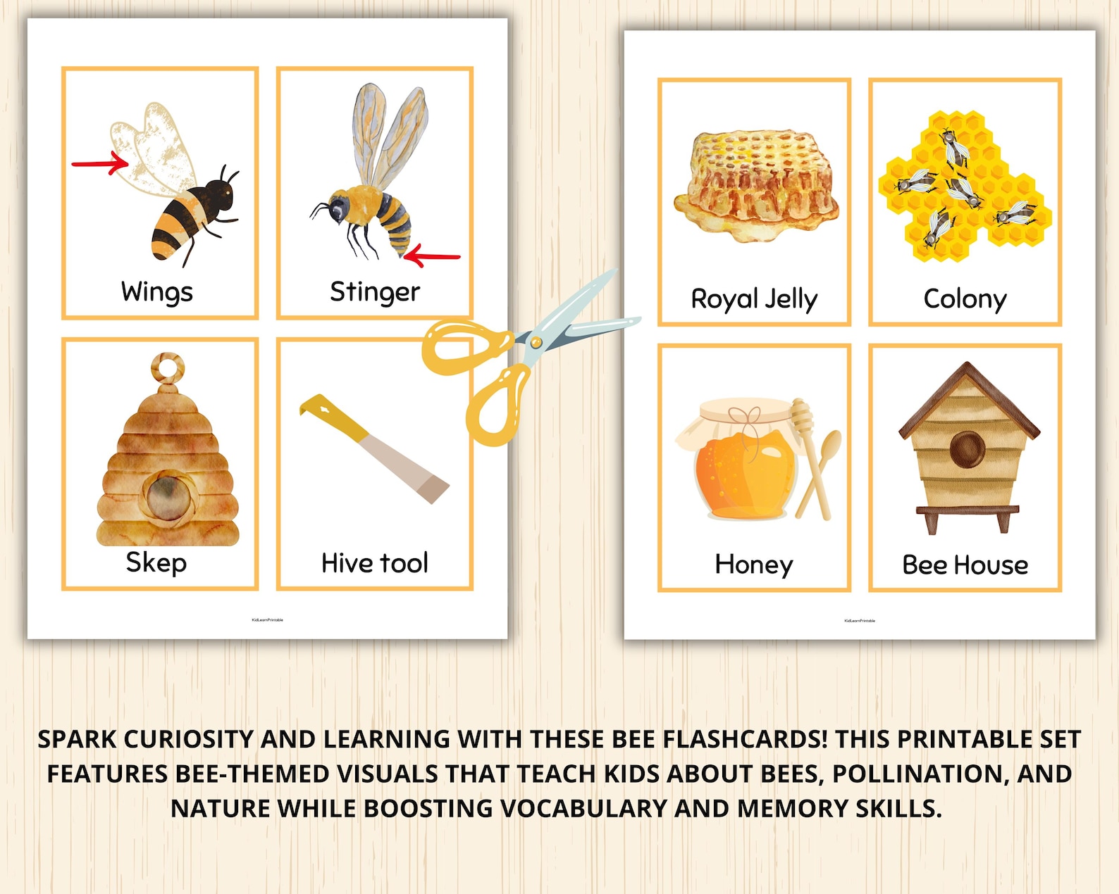 Bee Flashcards,honeybee Flashcards,nature Cards,bee Unit Study,insect ...
