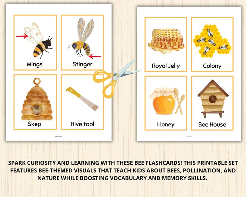 Bee Flashcards,honeybee Flashcards,nature Cards,bee Unit Study,insect ...