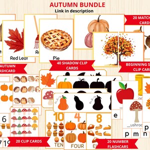 Matching Leaves,fall Activity for Kids, Toddler Activity,sensory Table ...