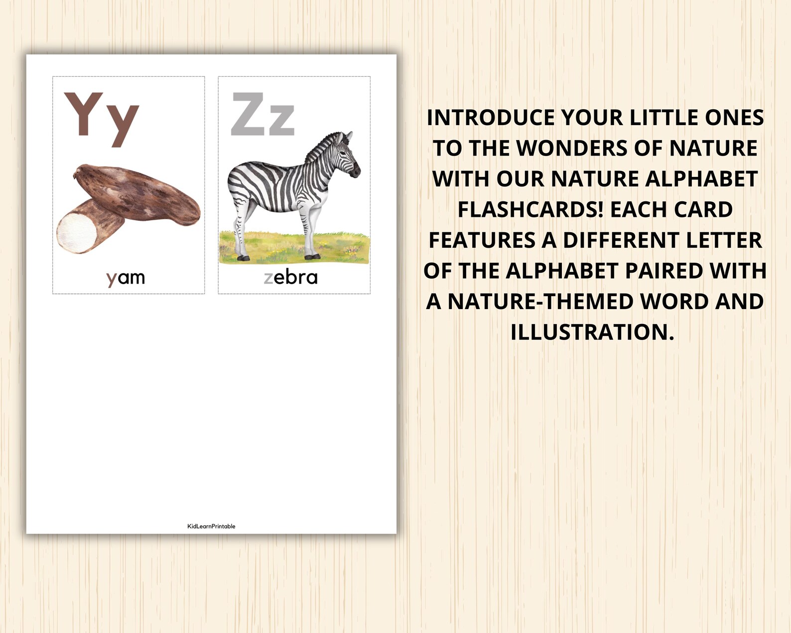Nature Alphabet,nature Flashcard,fall Unit Study,alphabet Cards for ...