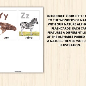 Nature Alphabet,nature Flashcard,fall Unit Study,alphabet Cards for ...