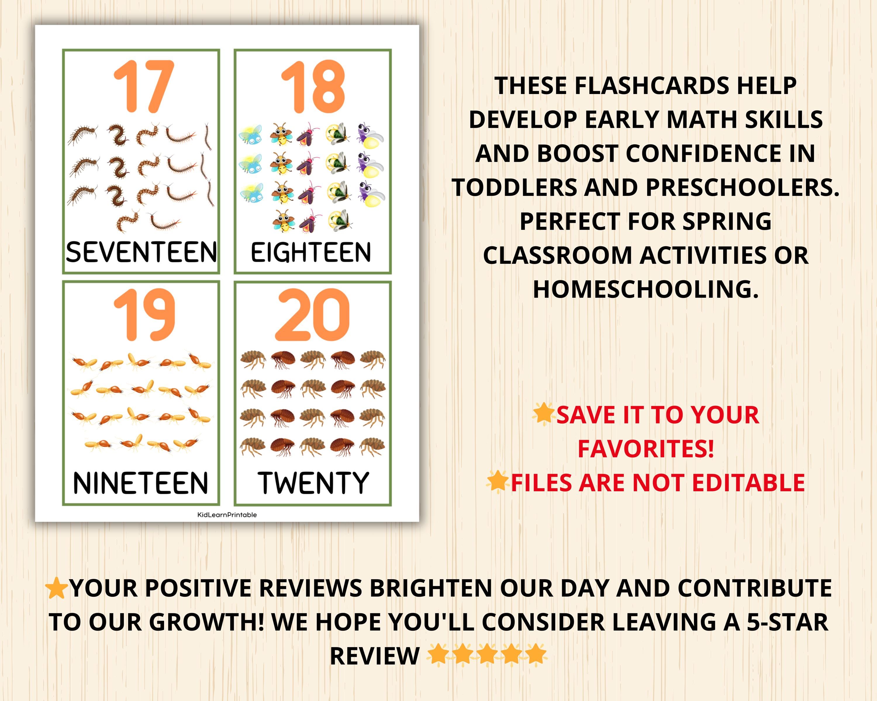 Bugs Number Flashcard,minibeast Number Cards,insect Preschool,nature ...