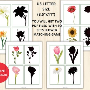 Flower Shadow Matching Card,flower Flashcards,spring Shadow,matching ...
