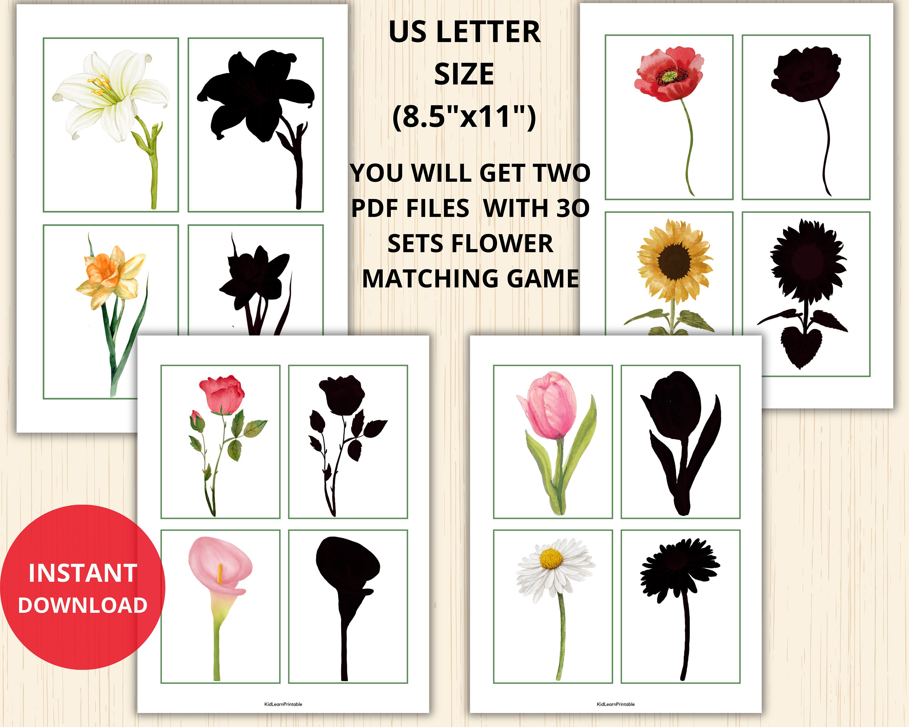 Flower Shadow Matching Card,flower Flashcards,spring Shadow,matching ...