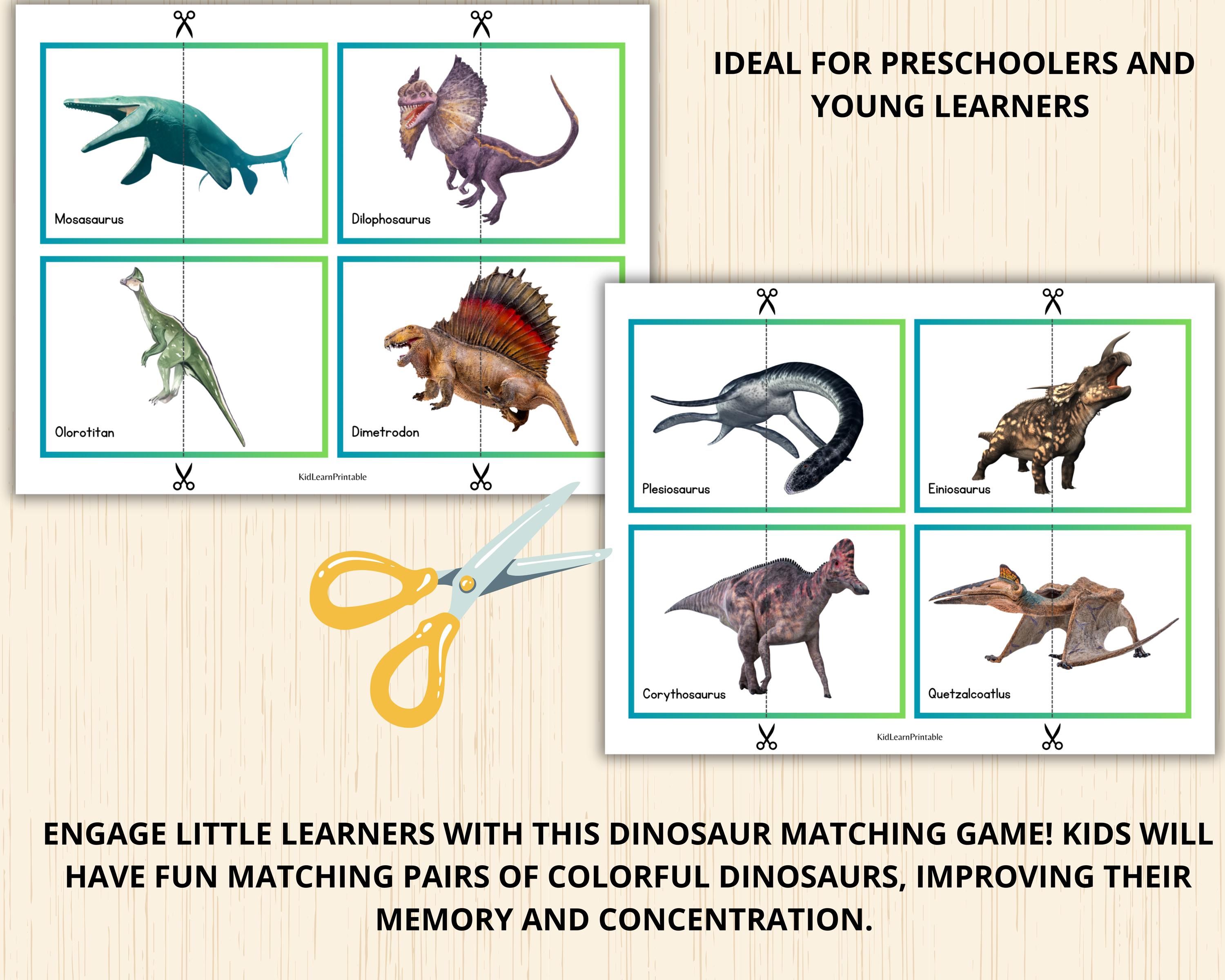Dinosaur Flashcard,halves Matching,dinosaur Montessori,dinosaur ...