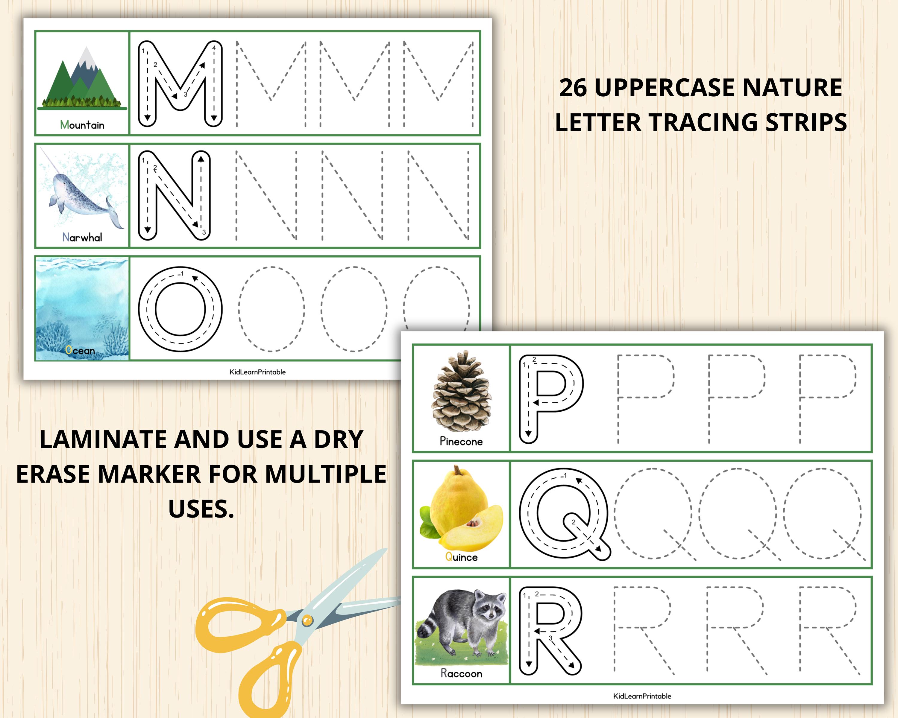 Nature Alphabet Cards Tracing Letters,nature Alphabet Cards,letter ...