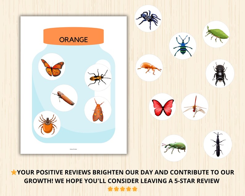 Bug Color Sorting,insect Color Matching,bug Sorting Game,insect Unit ...