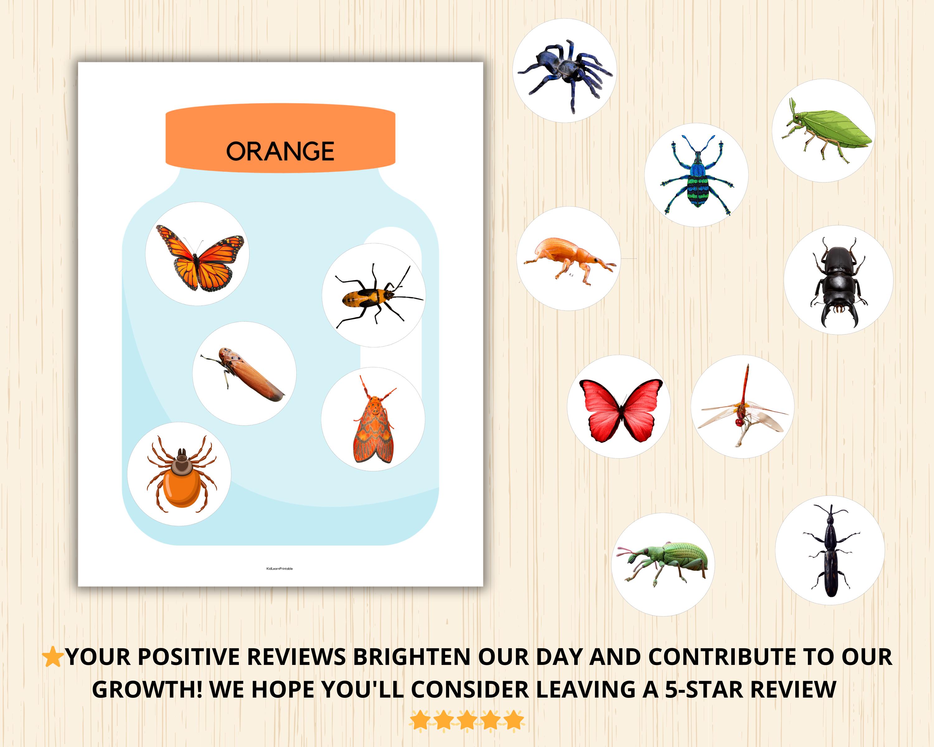 Bug Color Sorting,insect Color Matching,bug Sorting Game,insect Unit ...