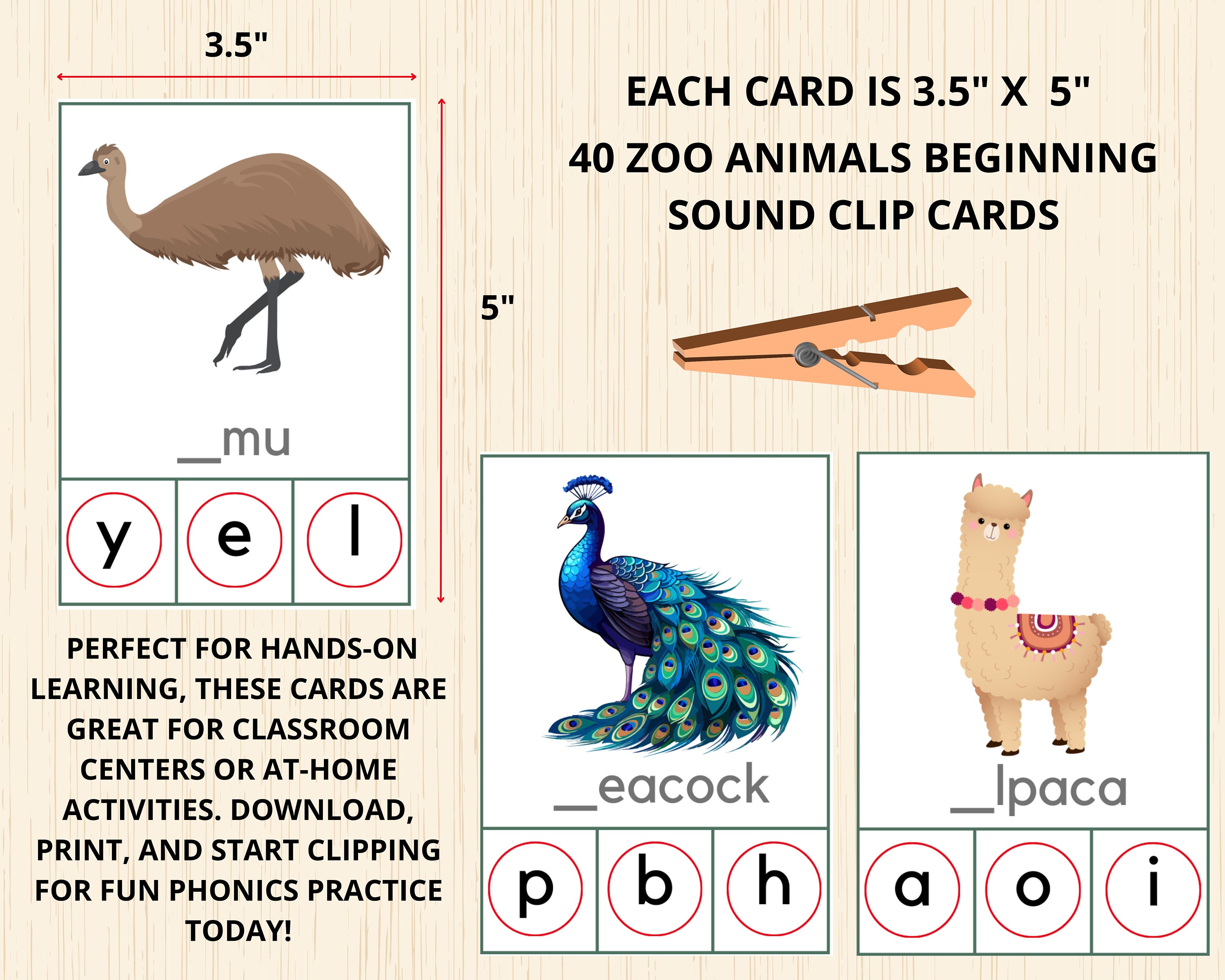 Zoo Animals Beginning Sounds,zoo Montessori,animals Preschool,preschool ...