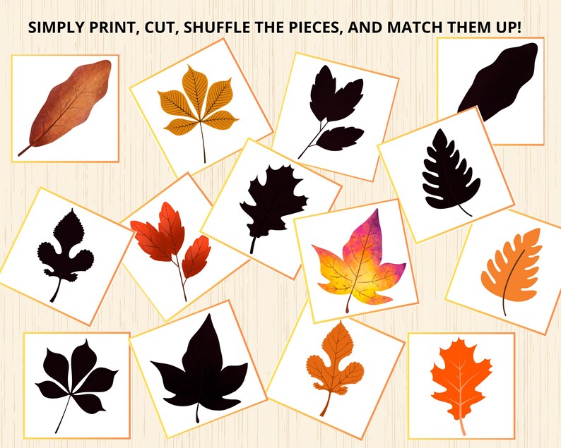 Fall Matching Activities, Autumn Leaves Shadow Matching Game,fall ...